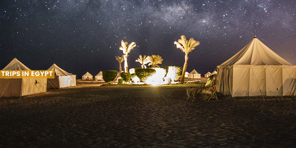8 Famous Activities & Things to Do in Marsa Alam - Marsa Alam Travel Blog