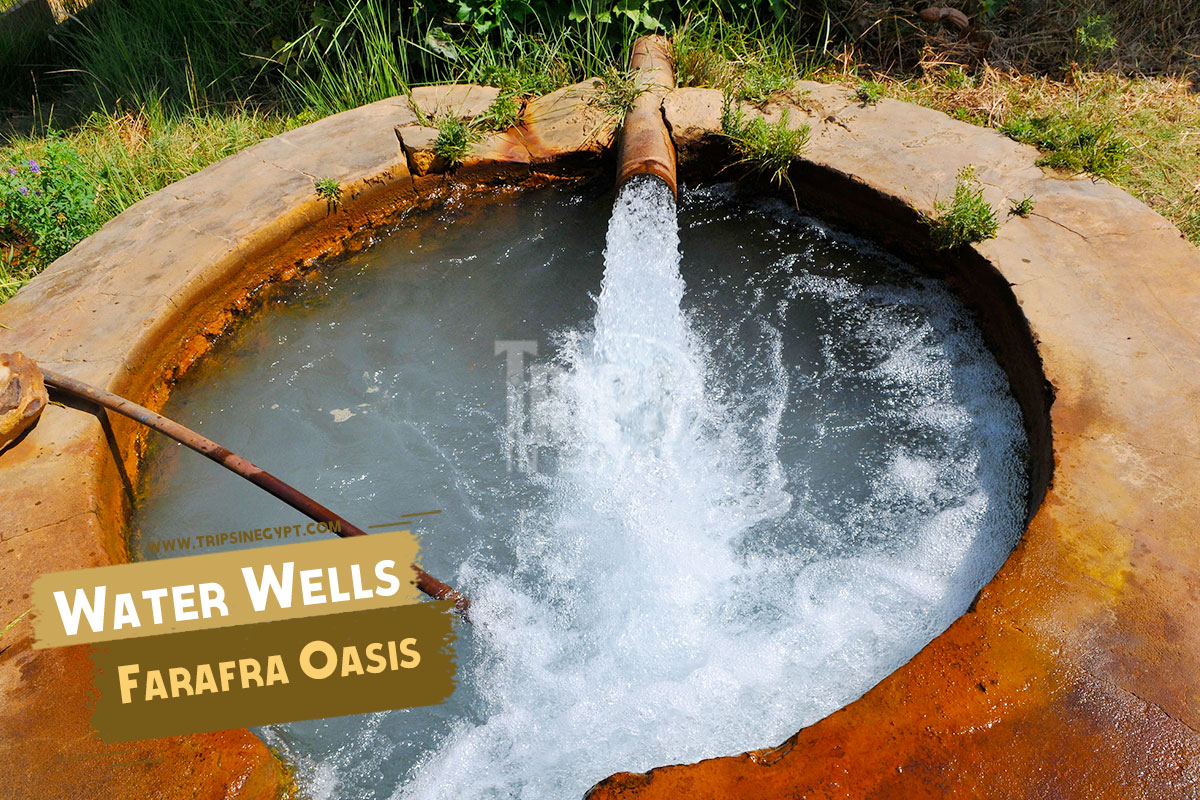 Farafra Oasis History & Location - Best Attractions in Farafra | Trips ...