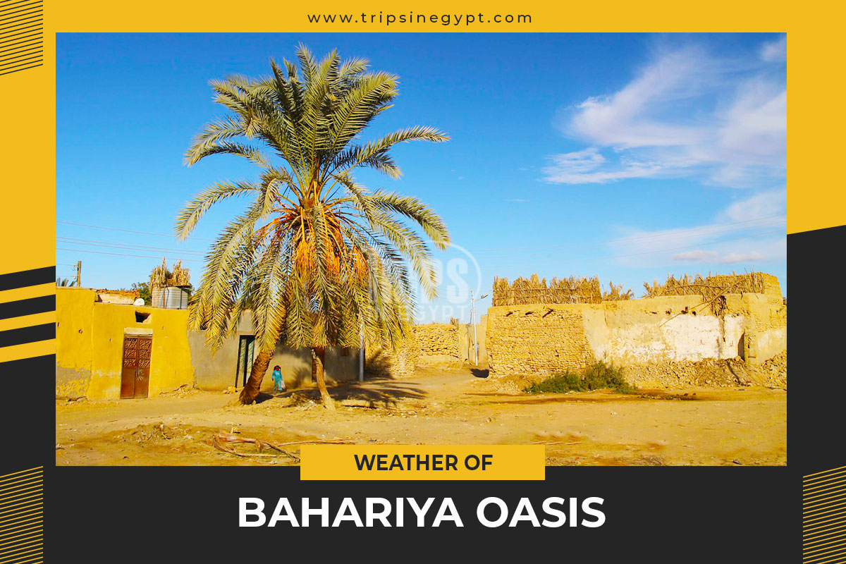 Bahariya Oasis Facts & Weather - Bahariya Attractions & Location ...